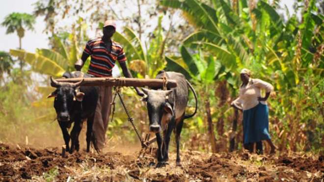 Digital farming: The rise of digitalization in African agriculture ...