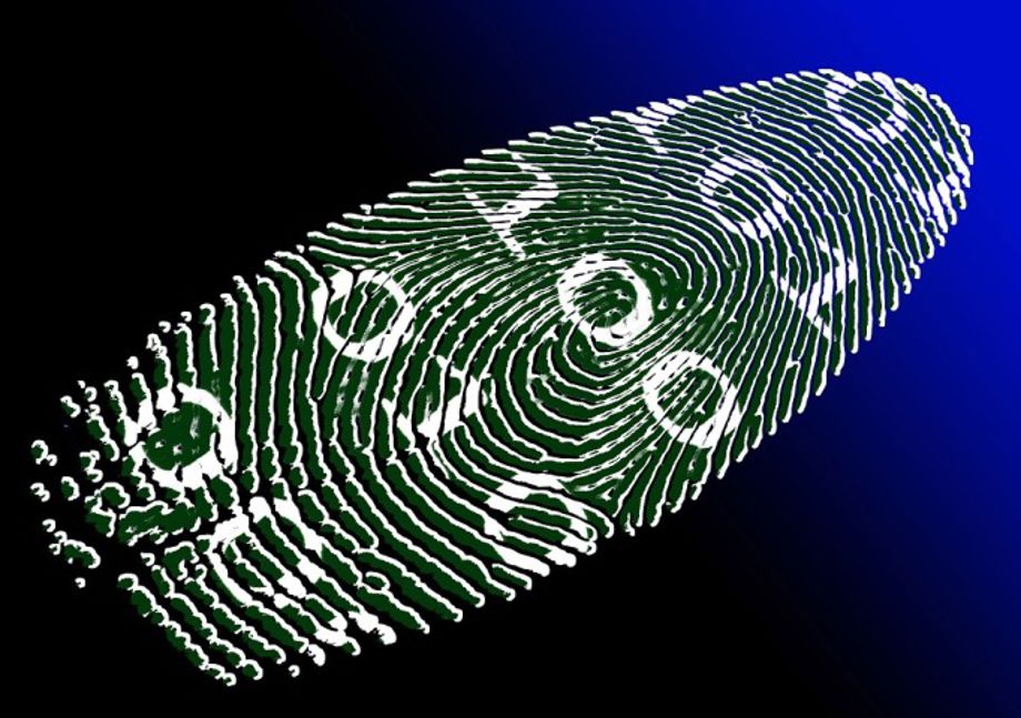 South Africa Plans Digital ID System to Tighten Migration Control | Law ...