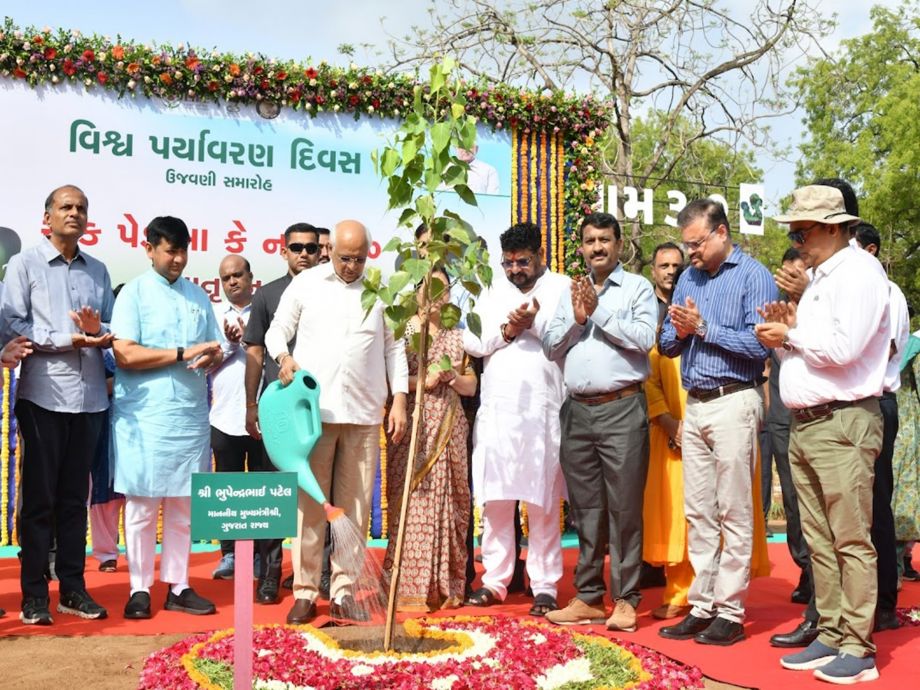 Gujarat's Ambitious Green Leap: 'Ek Ped Maa Ke Naam 3.0' Tree ...