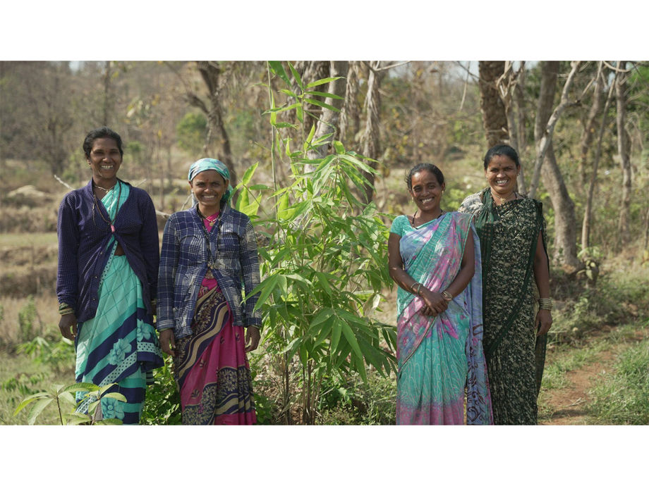 Bamboo Breakthrough: India's First FSC Certification Boosts Women ...