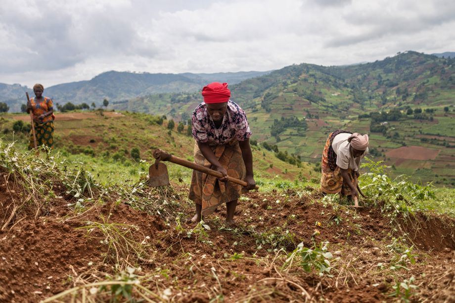 New $87 Million Project to Boost Sudan's Food Production | Business