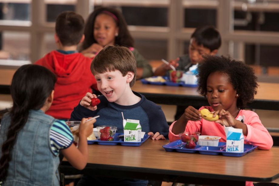 Govt to be delivering more efficient Healthy School Lunches Programme ...