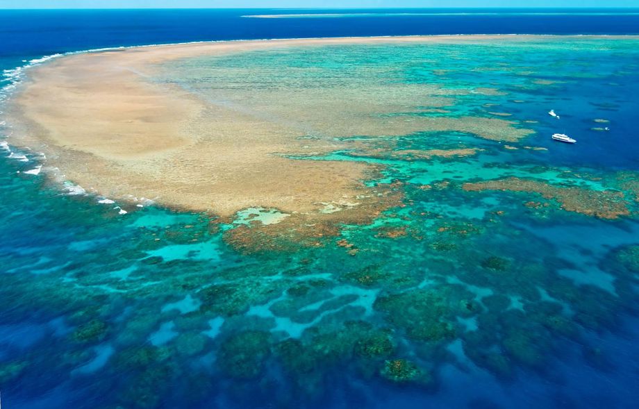 Great Barrier Reef hit by bleaching as UNESCO weighs "in danger ...
