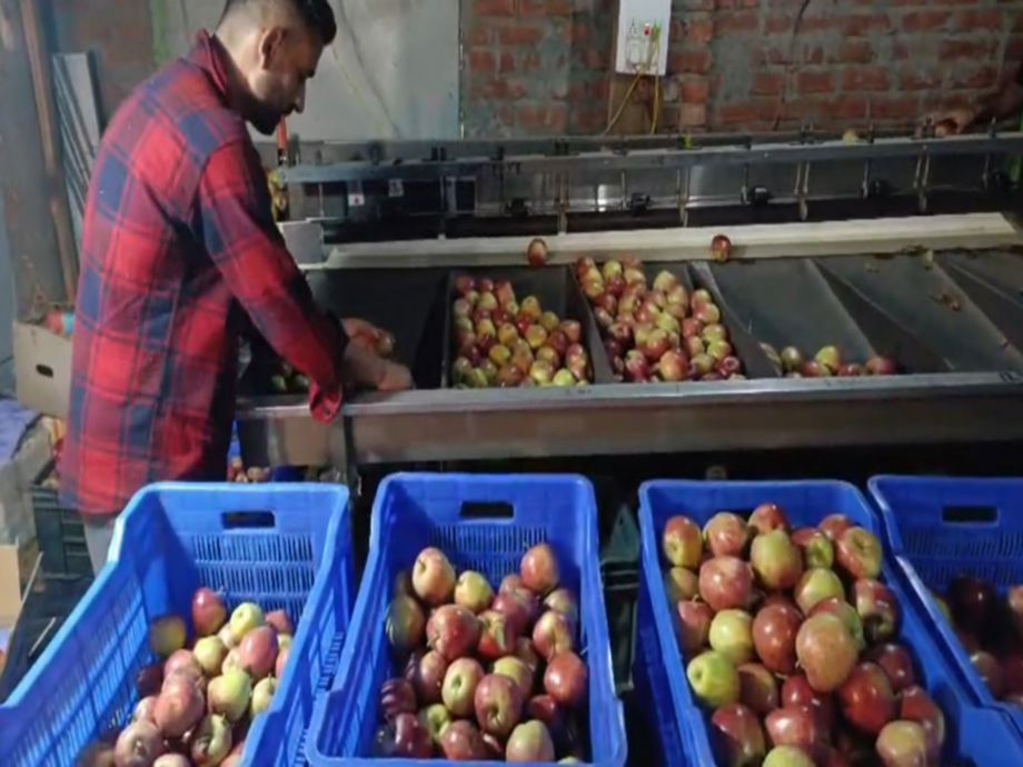 FSSAI Cracks Down on Illegal Fruit Ripening Practices | Business