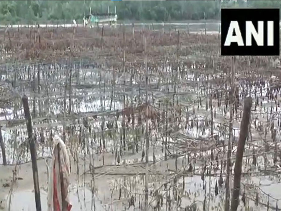 Flood Crisis Strikes Uttar Pradesh, Farmers Await Relief Amid Rising ...