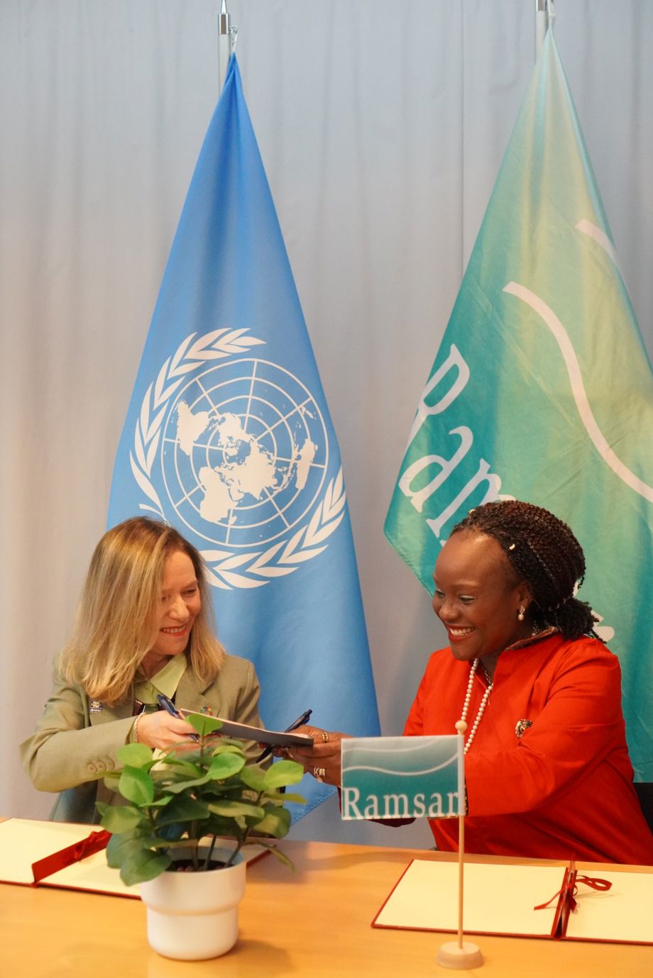 UN Agencies Unite Data and Climate Tech to Protect Wetlands Worldwide ...