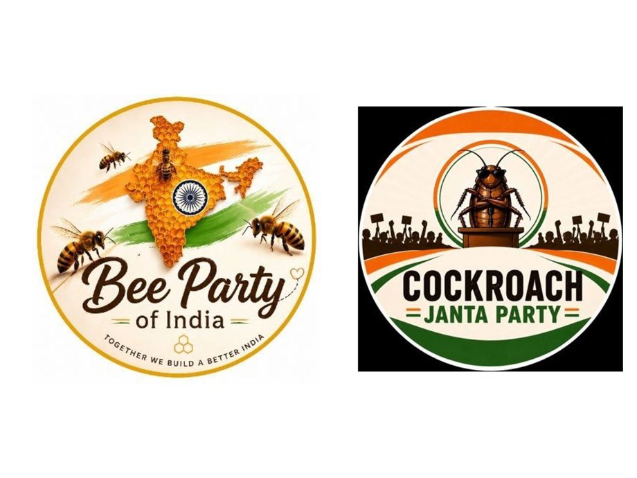 Rise of India's new satirical parties: Cockroach Janata Party and Bee ...
