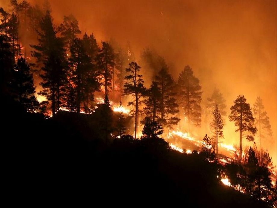 EXPLAINER-Maui inferno: What are the deadliest wildfires in US history ...