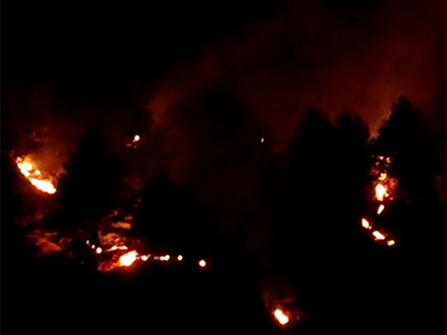 Authorities Tighten Grip as Forest Fire Rages in Doda's Bhalessa ...