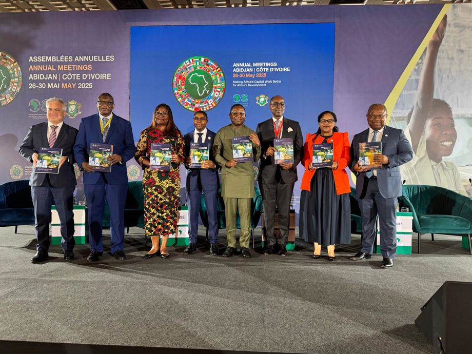 Africa’s Economy to Grow 4% by 2026 Amid Calls for Capital Reforms—AfDB ...