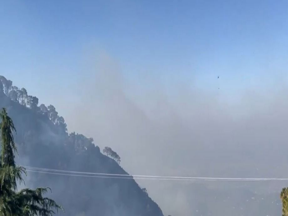 IAF Aids in Taming Inferno: Kasauli Forest Fire Contained After 27-Hour ...