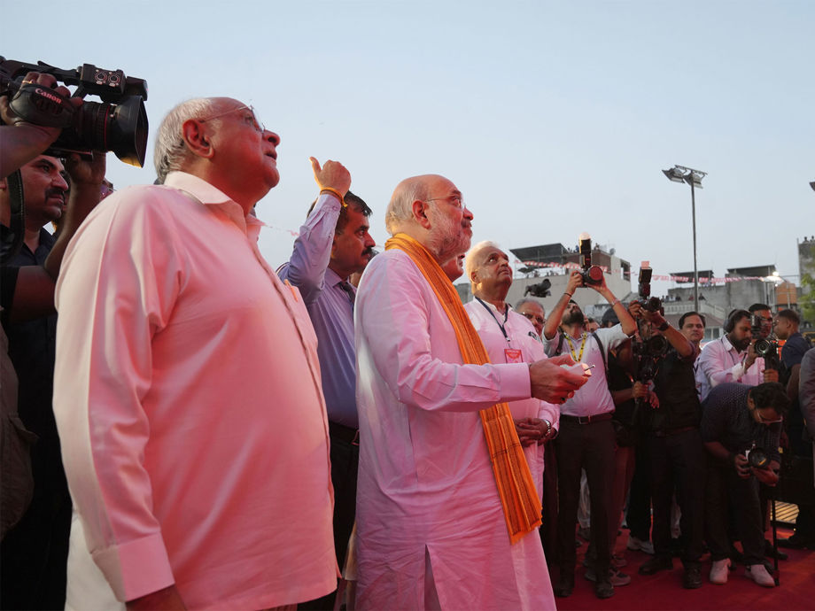 Gujarat Moves to Isolate Lions Amid Potential Babesia Threat | Science ...