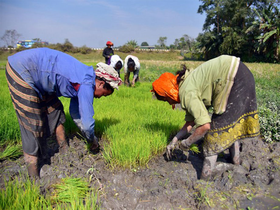 Bangladesh urged to rethink farm spending to boost growth and jobs ...